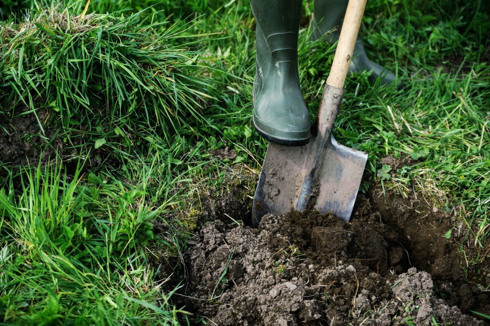 Soil Training - British Society of Soil Science