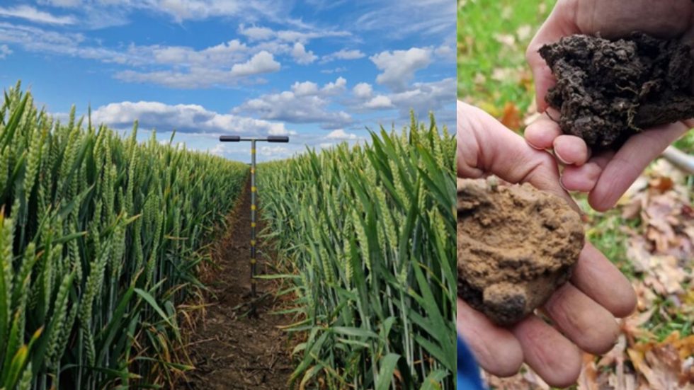 Careers In Soil Science - British Society of Soil Science