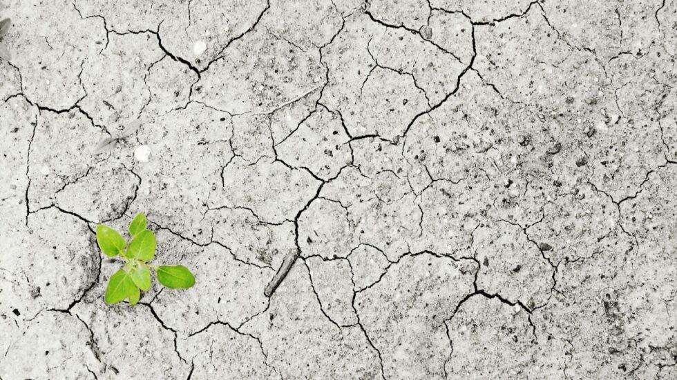 drought Archives - British Society of Soil Science